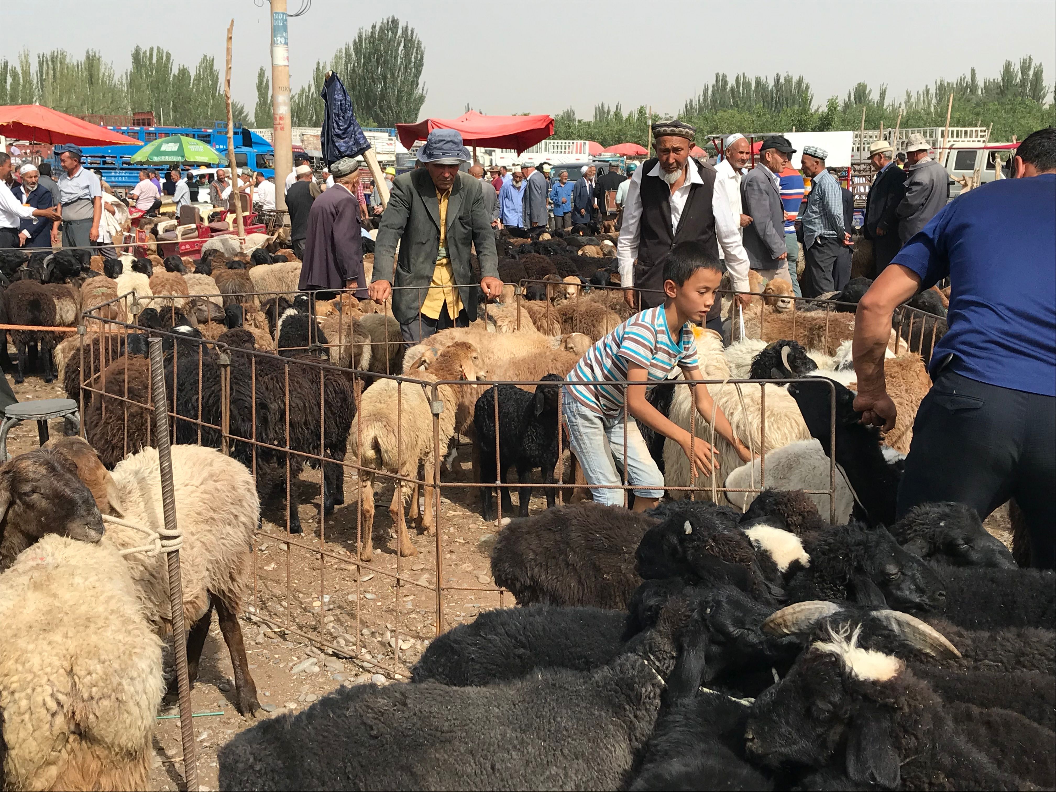 Us2WV2kL – Wandering Ways